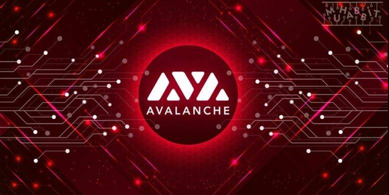 Tether Archives - InsideBitcoins.com