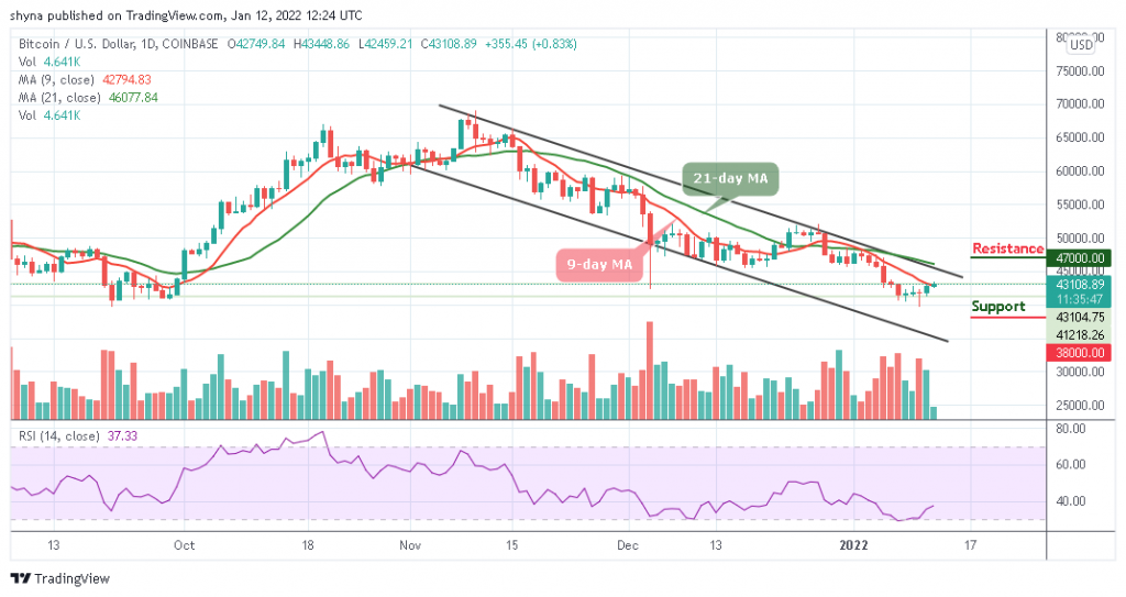 Bitcoin Price Prediction: BTC/USD Bulls Set To Conquer $45000 Level