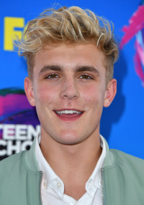 Jake Paul Net Worth, Crypto and NFT Investments