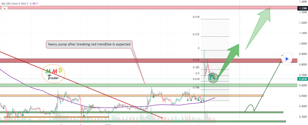 Ripple vs XRP20: Predicted Price Trends Draw Investors' Attention