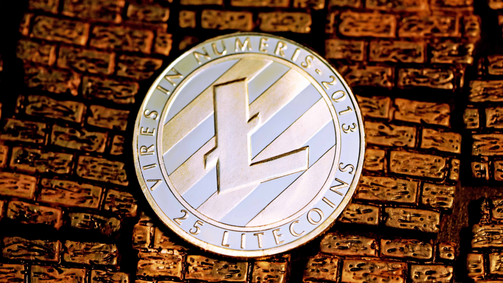 Litecoin Price Prediction: As LTC Coin Tumbles, The Experts Turn To ...