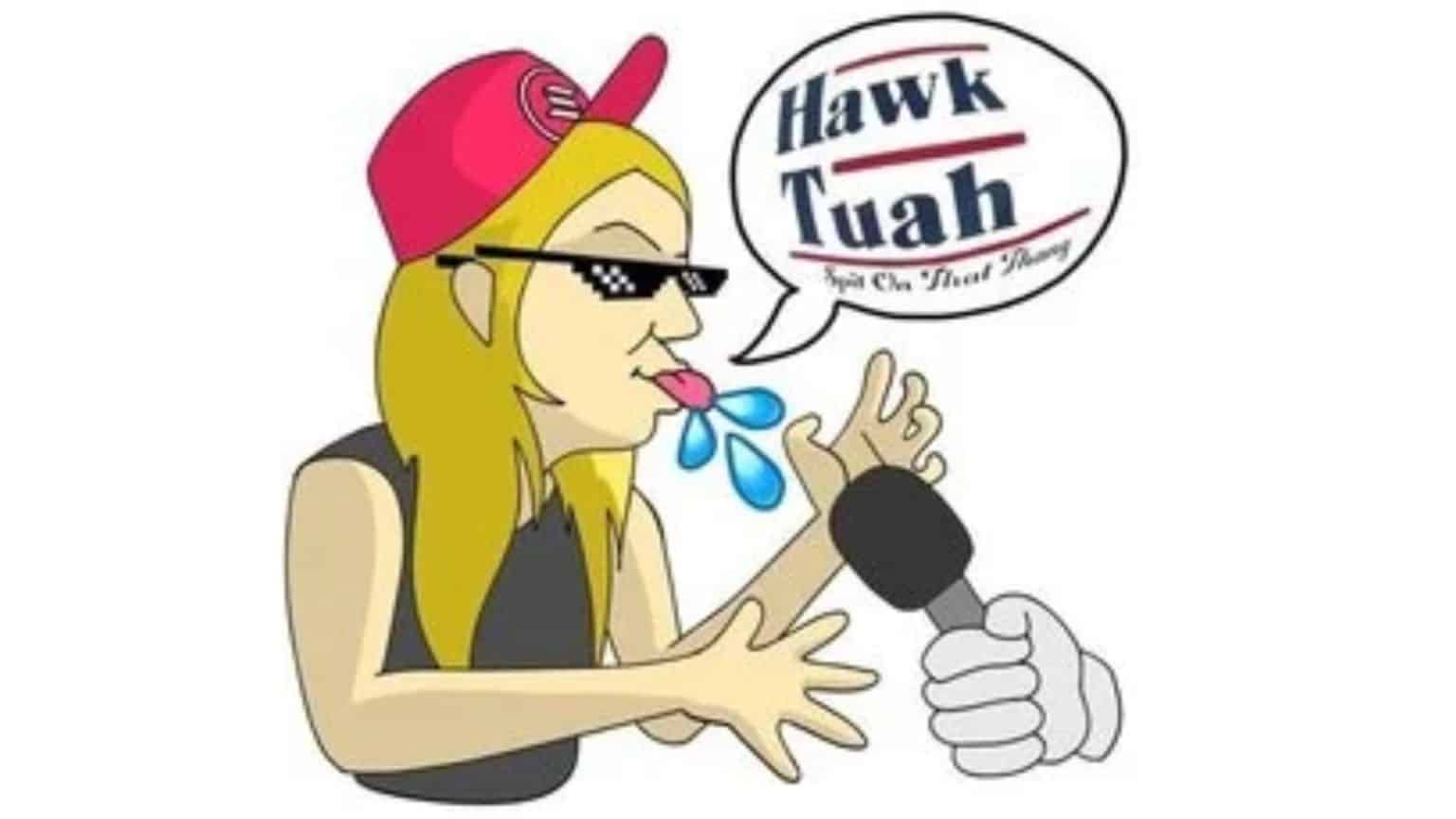 Hawk Tuah Price Prediction Hawk Goes Ballistic With A 216 Surge But Investors Are Fomo Buying
