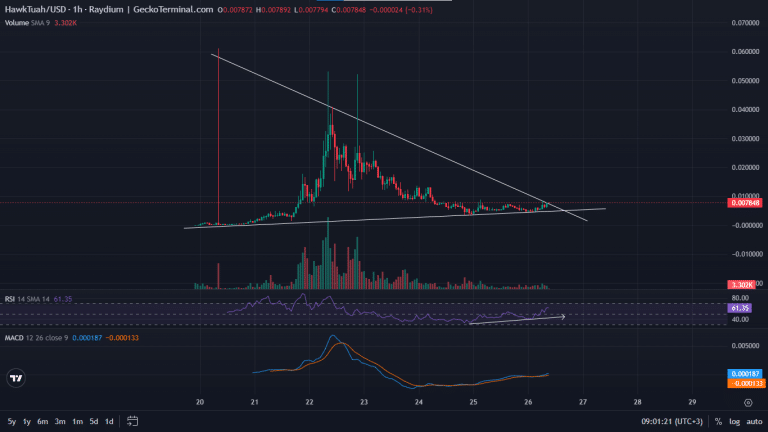 Hawk Tuah Price Prediction: HAWKTUAH Pumps 19%, But Investors Are ...