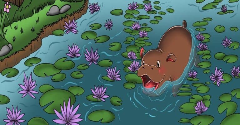 Vitalik Adopts Hippo Moo Deng: MOODENG Coin Surges 70%