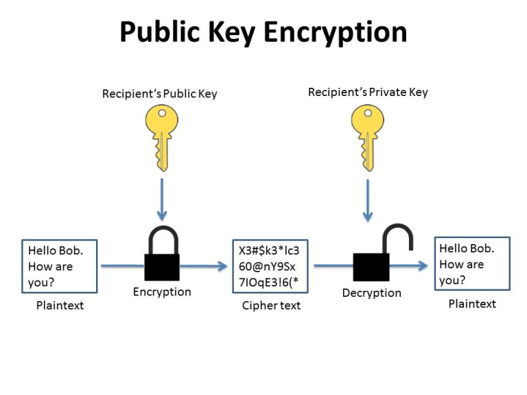 What Are Public and Private Keys? How They Work and More ...